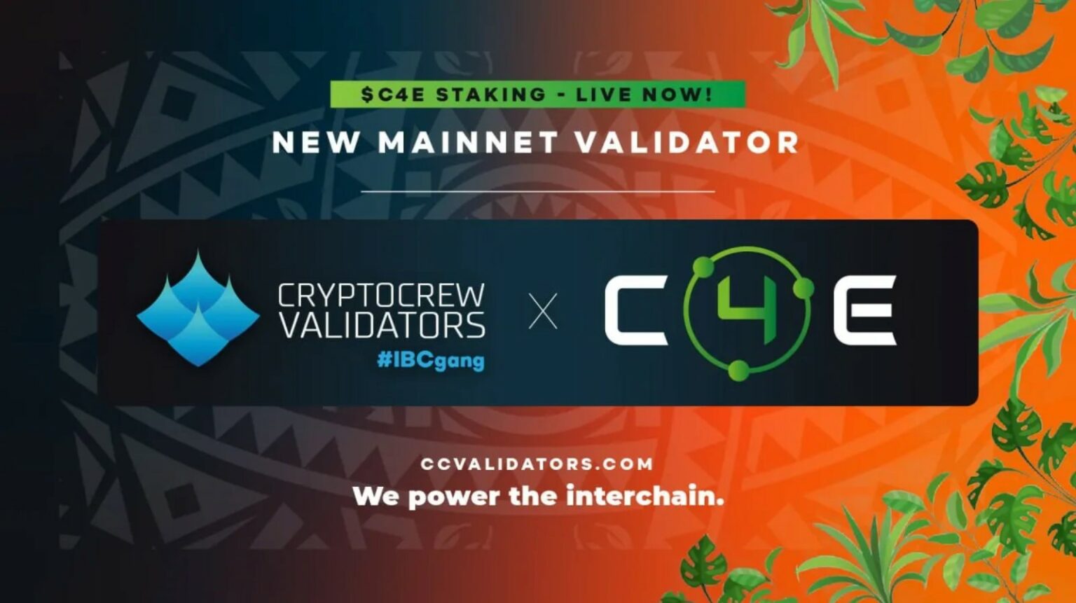 Welcome the new C4E validator: CryptoCrew - C4E